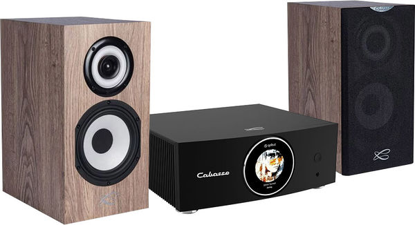 Cabasse AMP 240S + MC40 Minorca Chêne blanchi