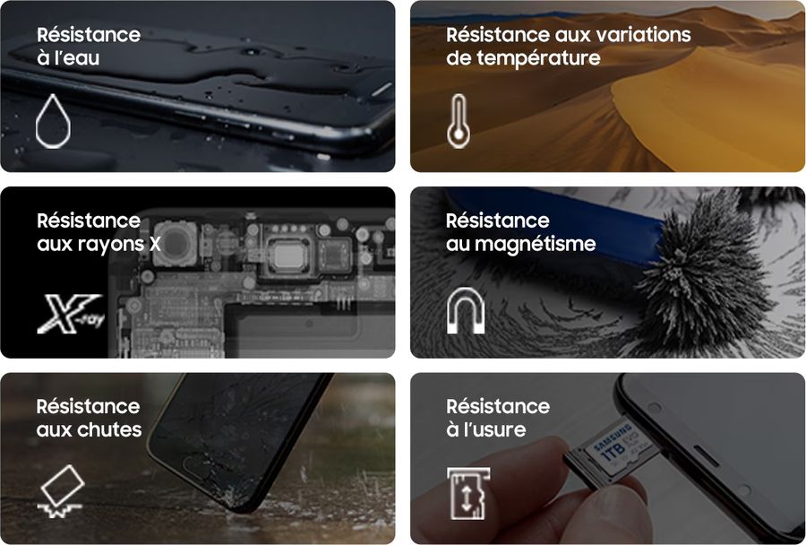 Samsung MicroSDXC EVO Plus 512 Go (2024) - Cartes mémoires